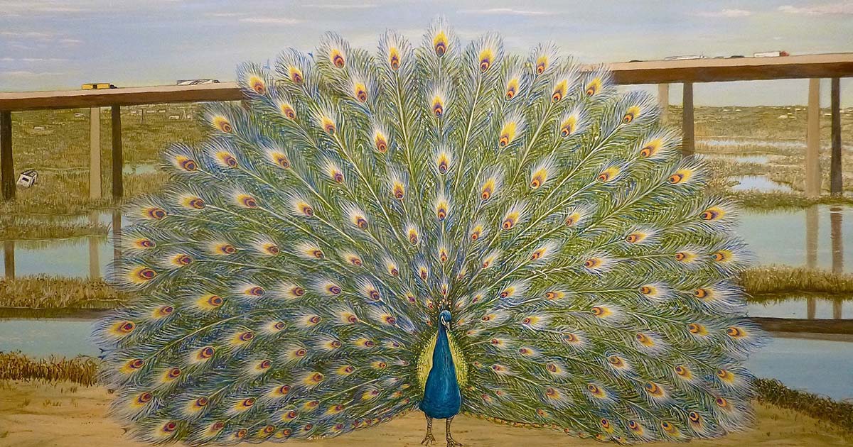 Nancy Jackson - Artist